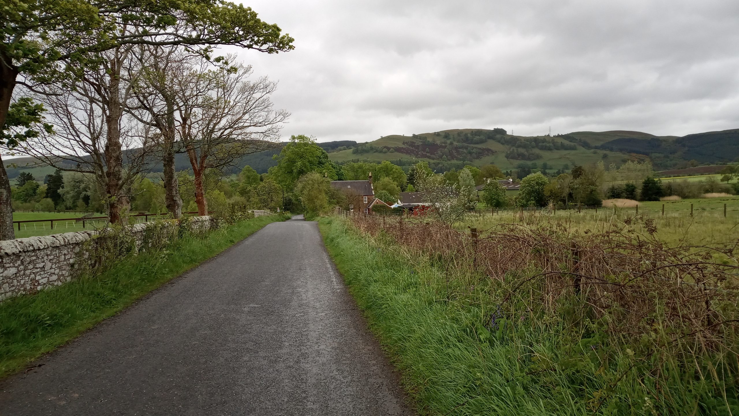 The Dunbarney Loop - Miles Together