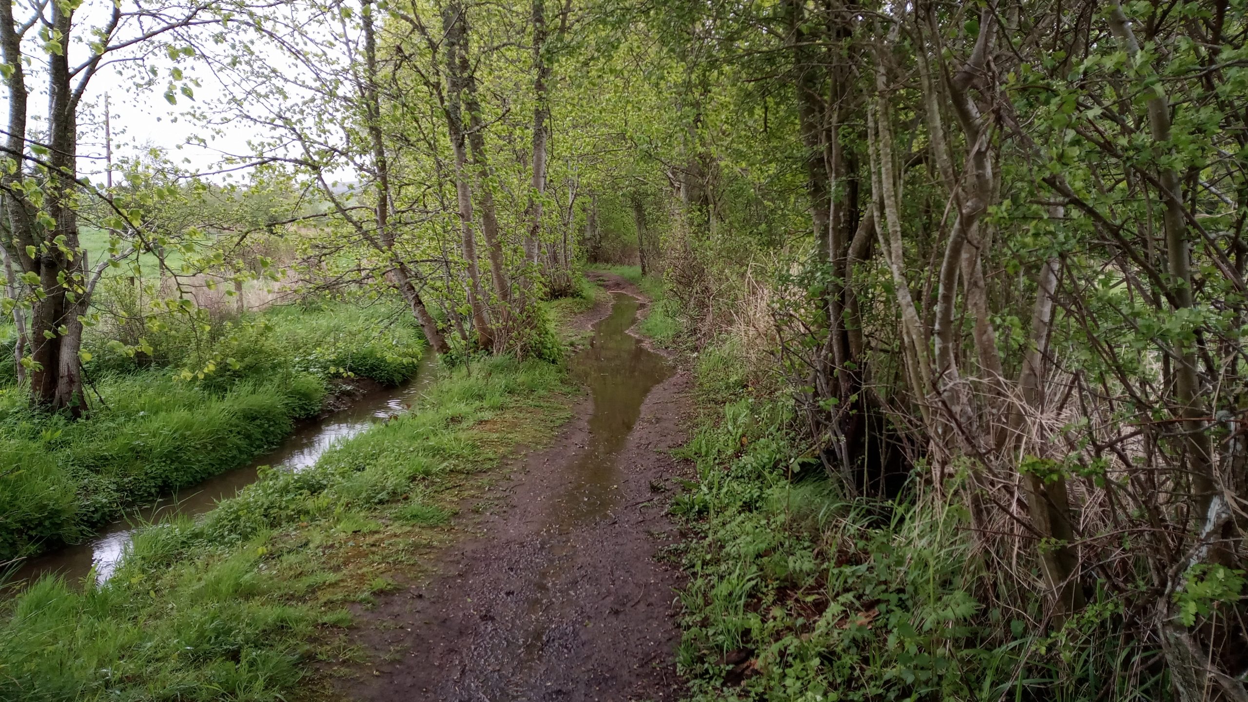 The Dunbarney Loop - Miles Together